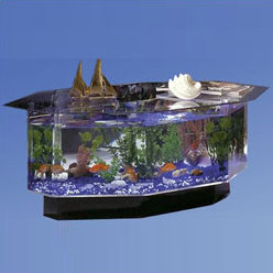 Fish end table store